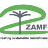 Wildfin Microfinance – Civil Servant Loans And Retail business Loans